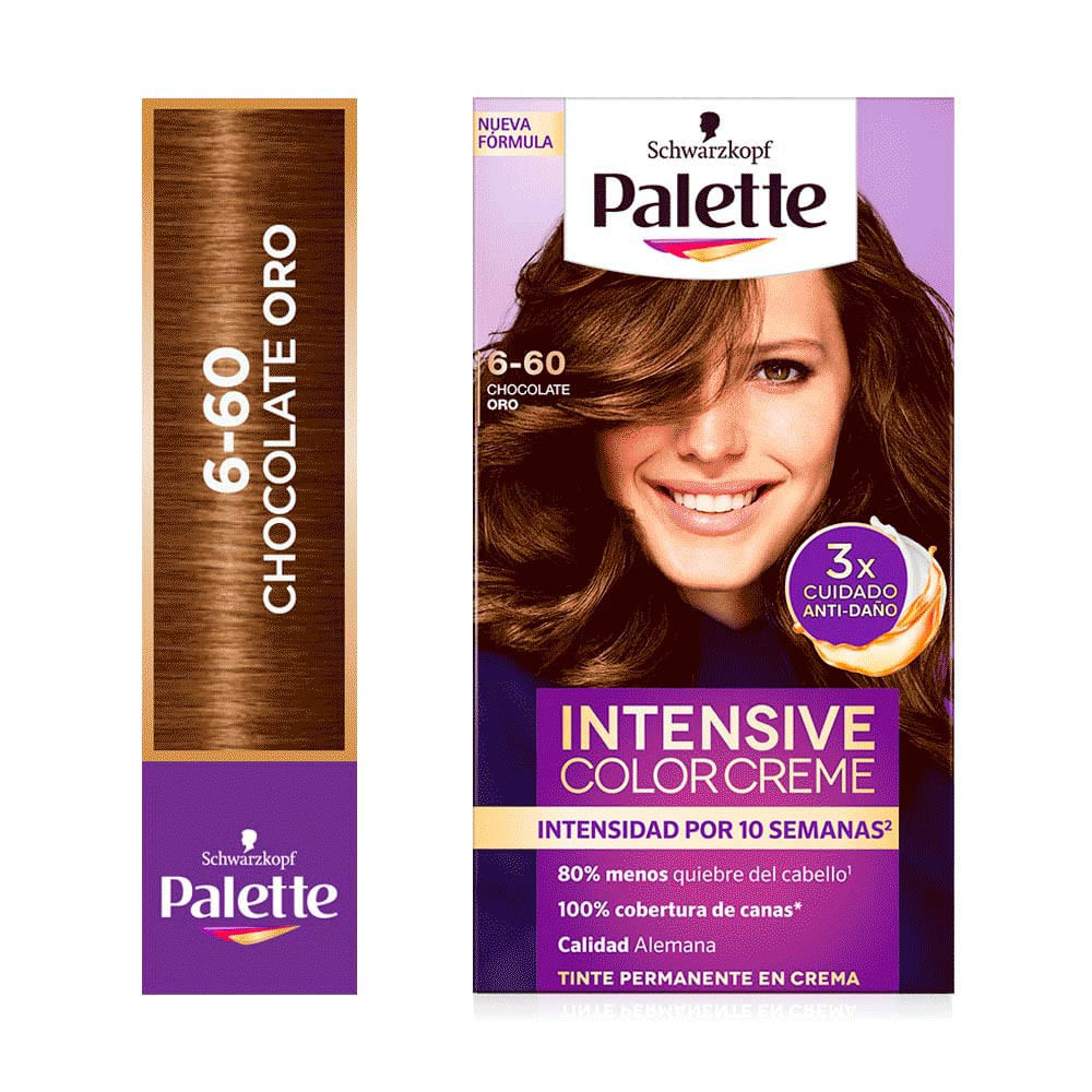 Tinte Kit Color Creme Palette 6-60 Chocolate Oro - Kit 1 UN - Real Plaza