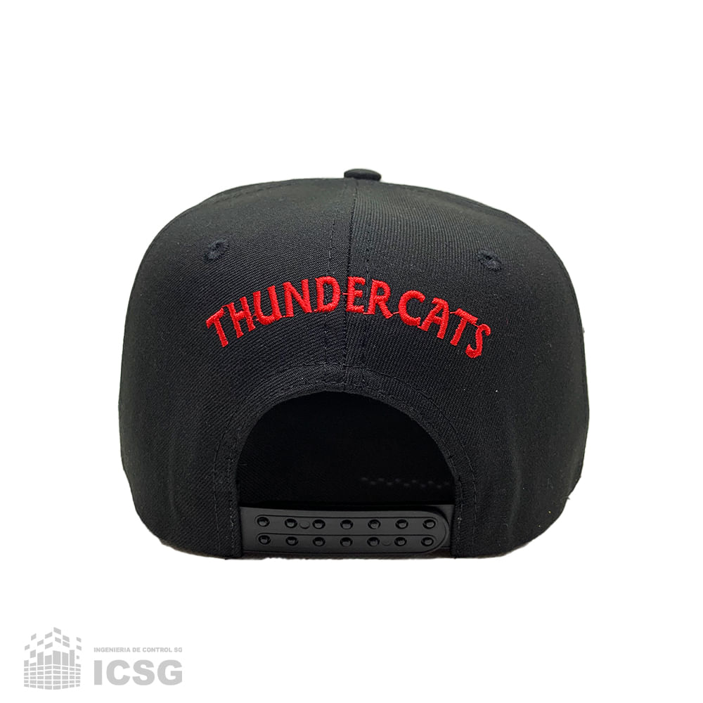Gorra Thundercats - Gorras Planas - Real Plaza