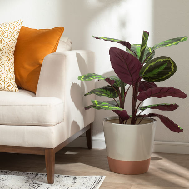 Maceta con Planta Grande - Real Plaza