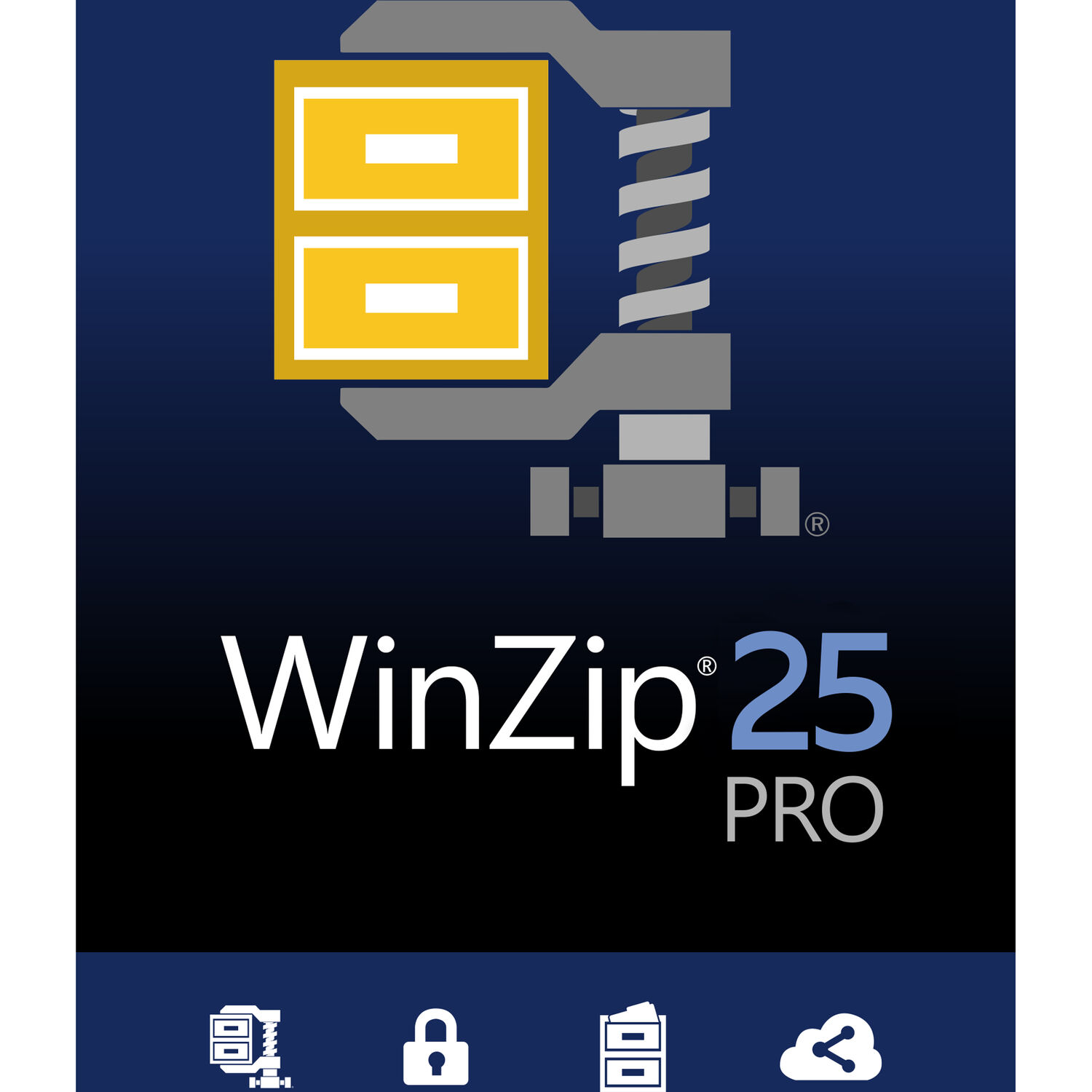 Dvd Winzip 25 Pro con Soporte Multilingüe - Real Plaza