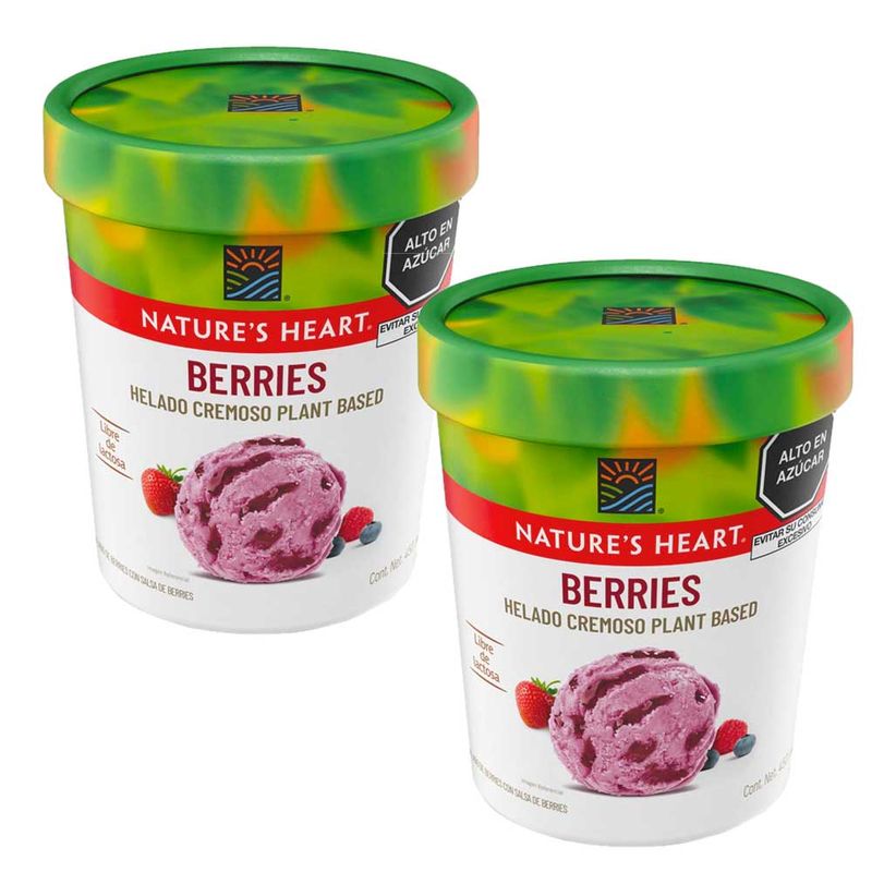 Pack Helado Plant Based NATURE'S HEART Berries Pote 490ml x 2un - Real ...
