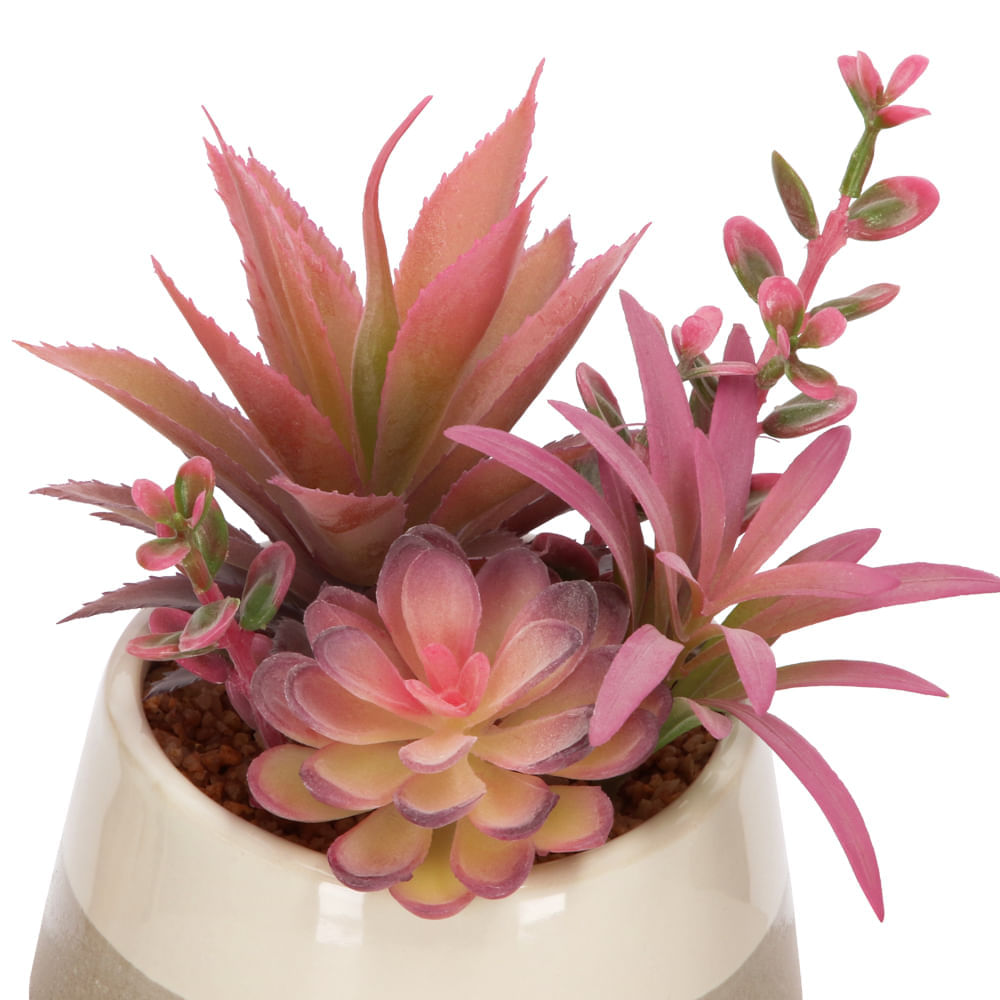 Maceta Jardinera cactus 16 x 19 cm - Real Plaza