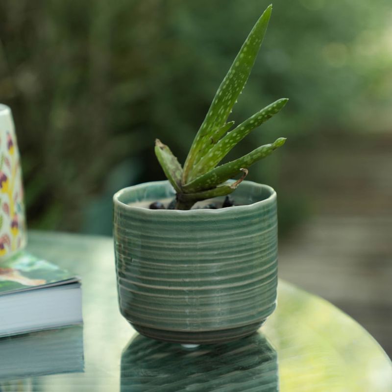 Maceta Cerámica Reactive 9x7,8 cm - Real Plaza