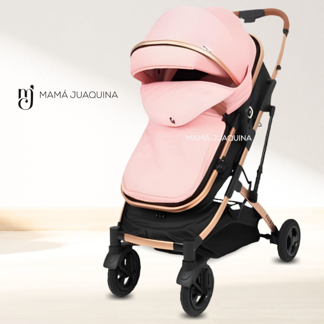Coche Moisés Taevian Edición Limitada Rosa - Real Plaza