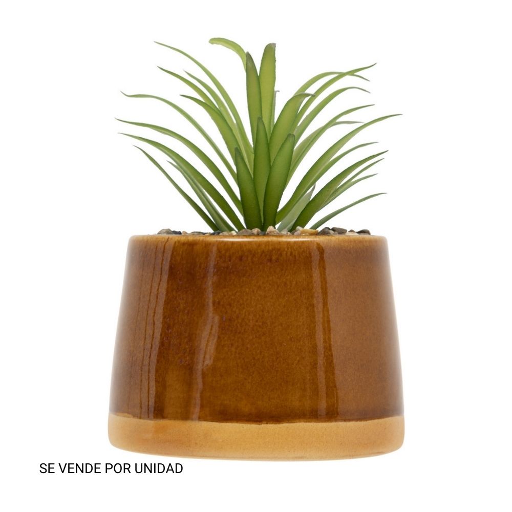 Planta Be Vintage 12cm + Maceta Cerámica Atmosphera - Real Plaza