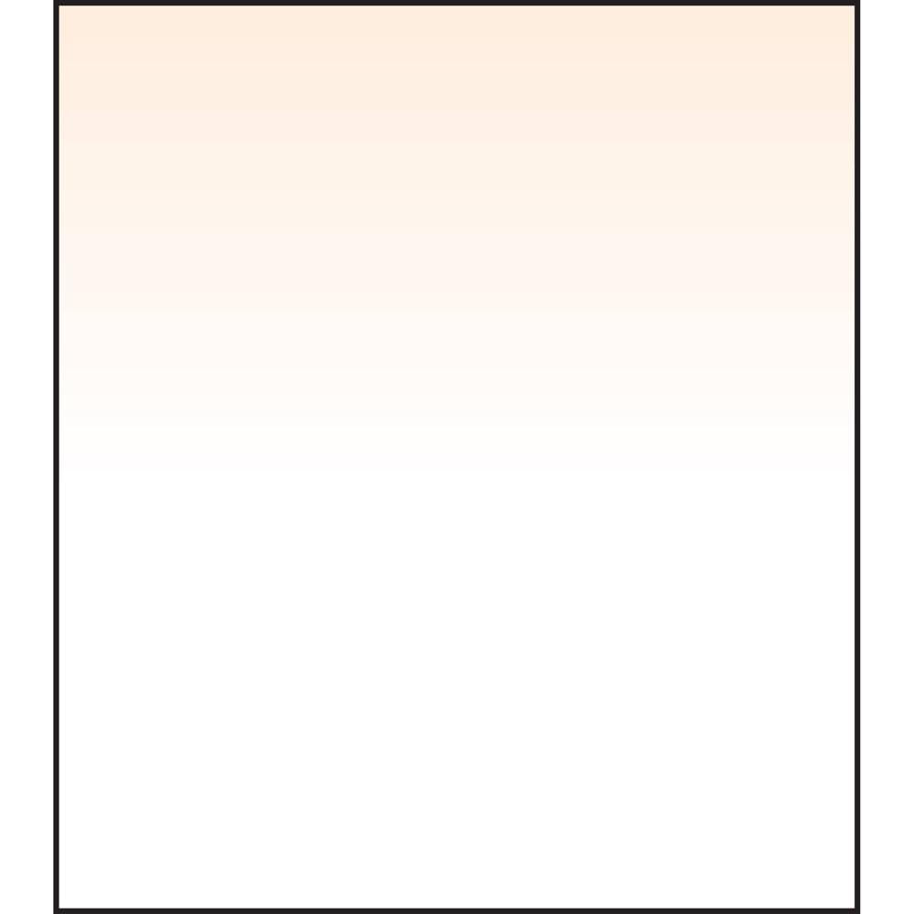 Filtro Graduado Coral 2 LEE Filters 150 x 170mm - Filtro de Color ...