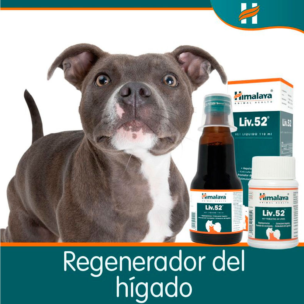 Protector Hepático Perros y Gatos Himalaya LIV 52 110ml - Real Plaza