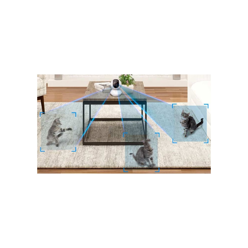 Cámara De Vigilancia Tp-Link Tapo C200C, Visión Nocturna, 1080P ...